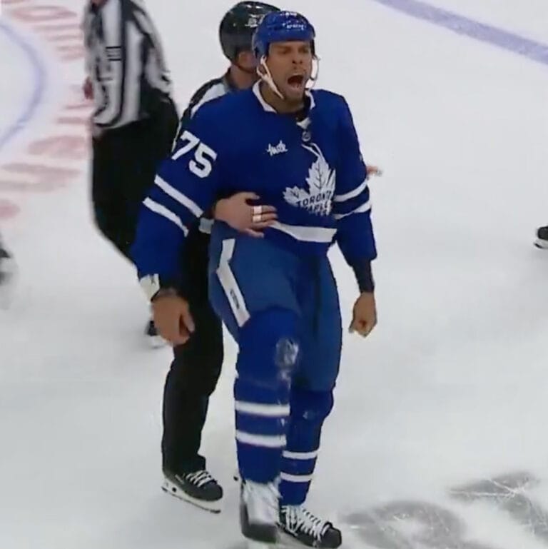 Ryan Reaves' humiliating gesture after knocking down Coyotes' Liam O ...