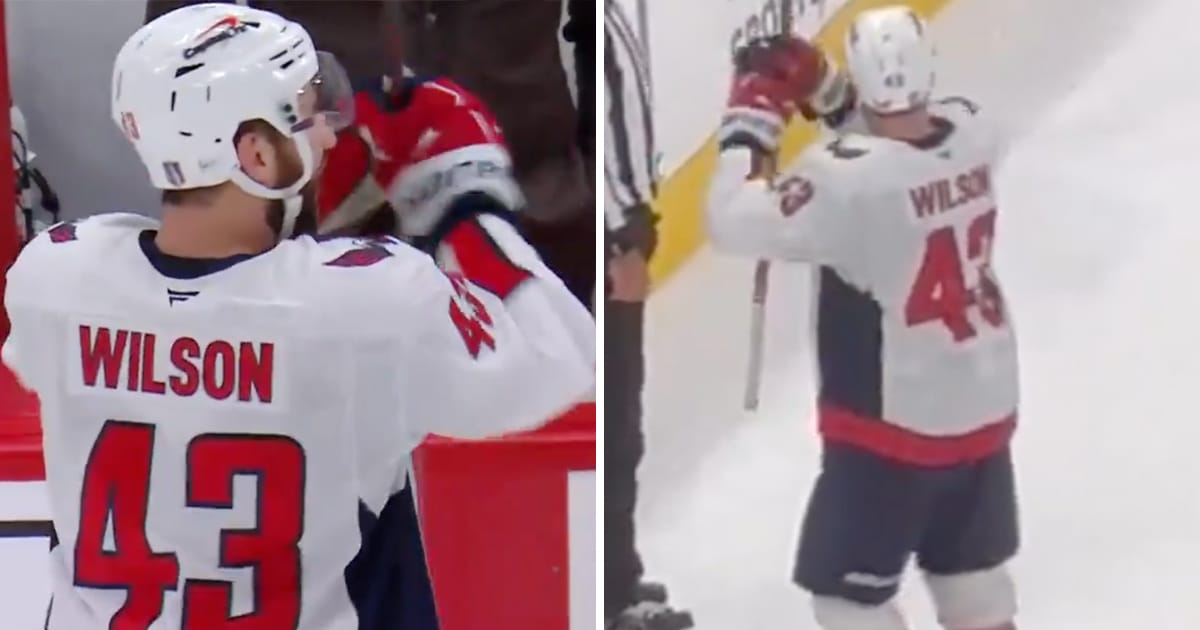 The Hurricanes mocks Tom Wilson after taunting on-ice gesture
