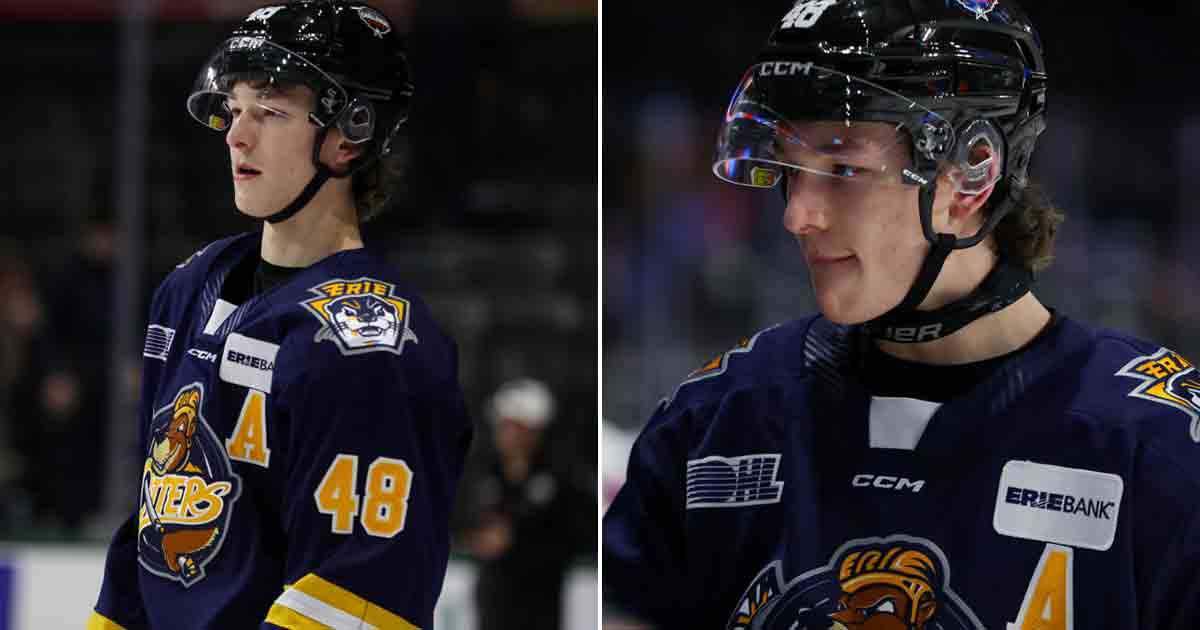 Matthew Schaefer - Everything you need to know about