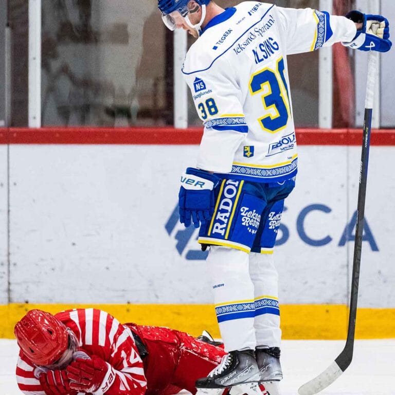 Kontroversiella förslaget som kan förändra SHL totalt – väcker nu jätteilska i hockey-Sverige ...