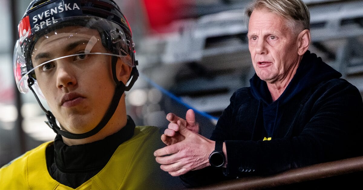 Niklas Wikegårds ord om djurgårdaren Linus Eriksson som släppts